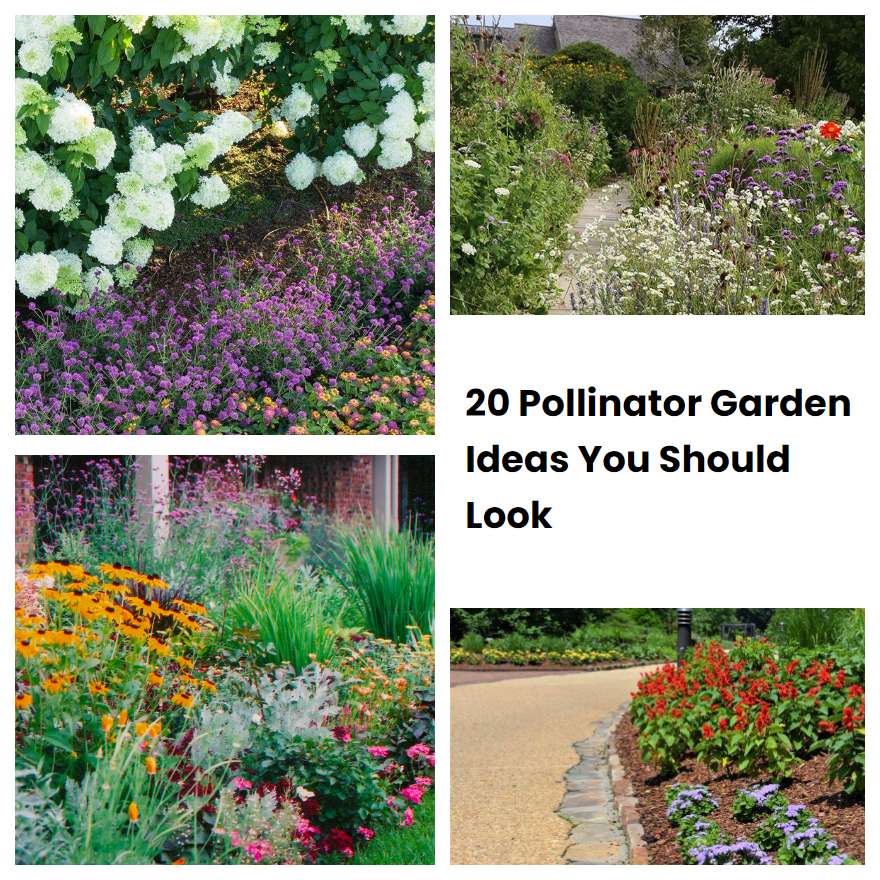 20 Pollinator Garden Ideas You Should Look | SharonSable