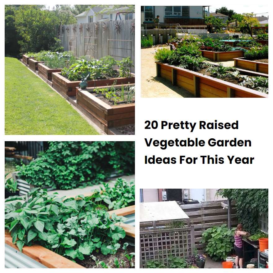 20 Pretty Raised Vegetable Garden Ideas For This Year Sharonsable