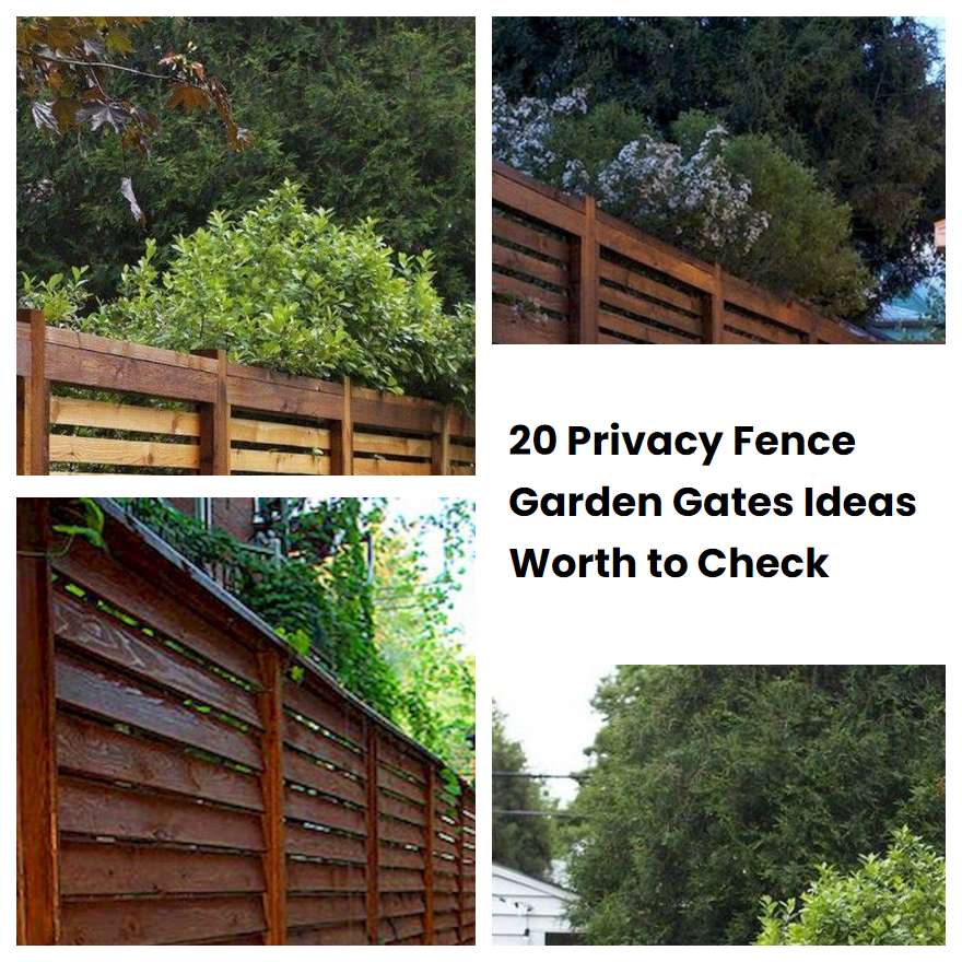 20 Privacy Fence Garden Gates Ideas Worth to Check | SharonSable
