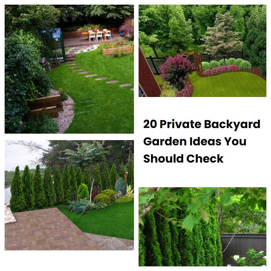 20 Private Backyard Garden Ideas You Should Check | SharonSable