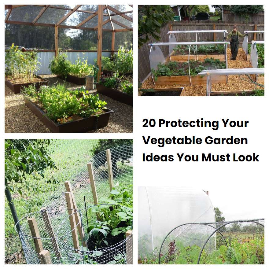 20 Protecting Your Vegetable Garden Ideas You Must Look | SharonSable