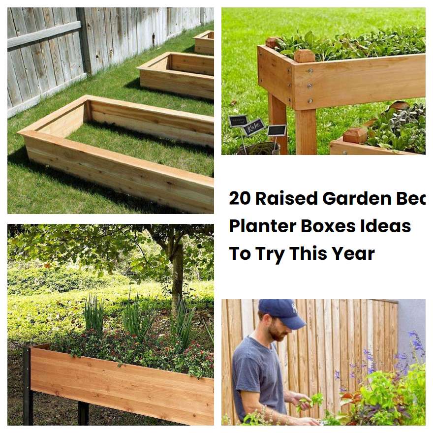 20 Raised Garden Bed Planter Boxes Ideas To Try This Year | SharonSable
