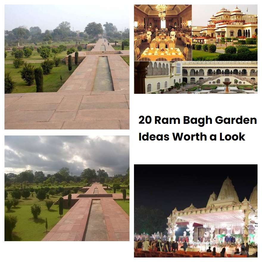 20 Ram Bagh Garden Ideas Worth a Look | SharonSable