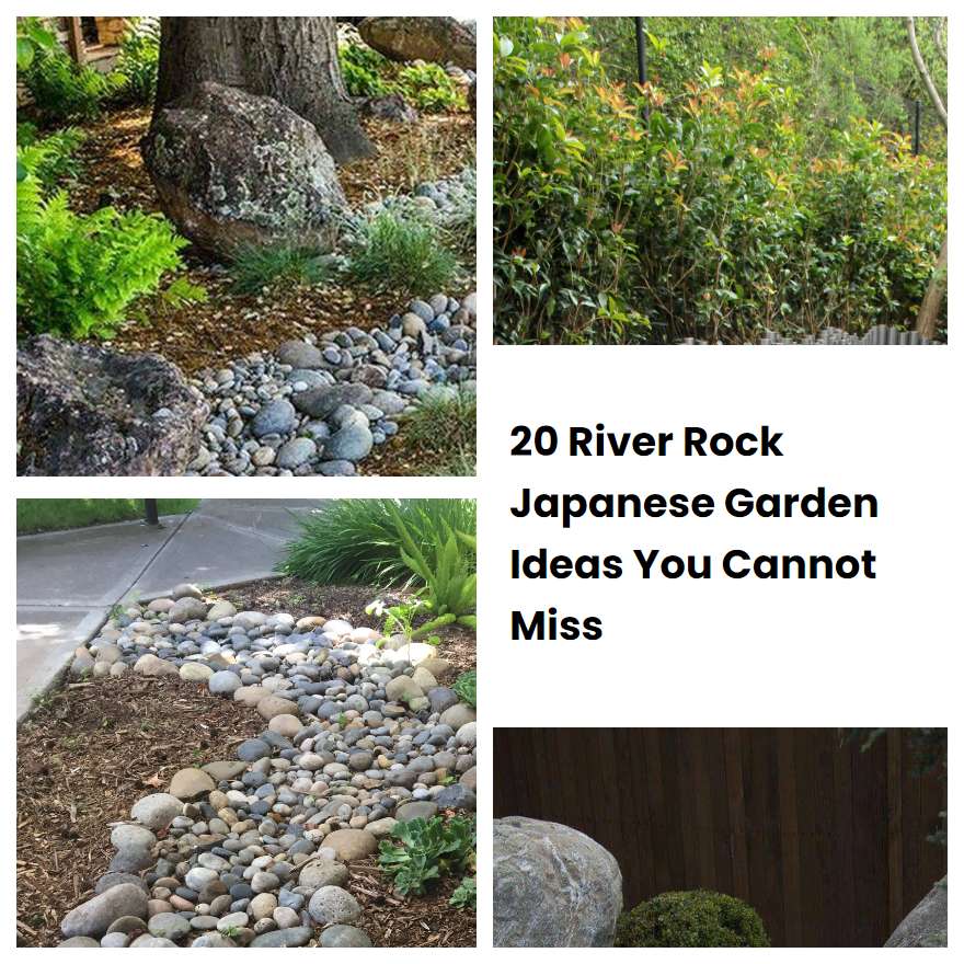 20 River Rock Japanese Garden Ideas You Cannot Miss | SharonSable