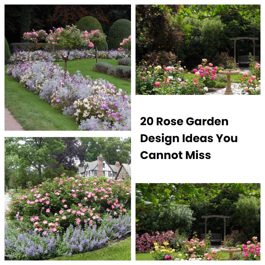 20 Rose Garden Design Ideas You Cannot Miss | SharonSable