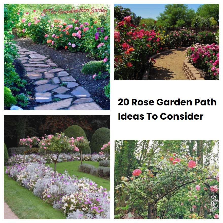 20 Rose Garden Path Ideas To Consider | SharonSable