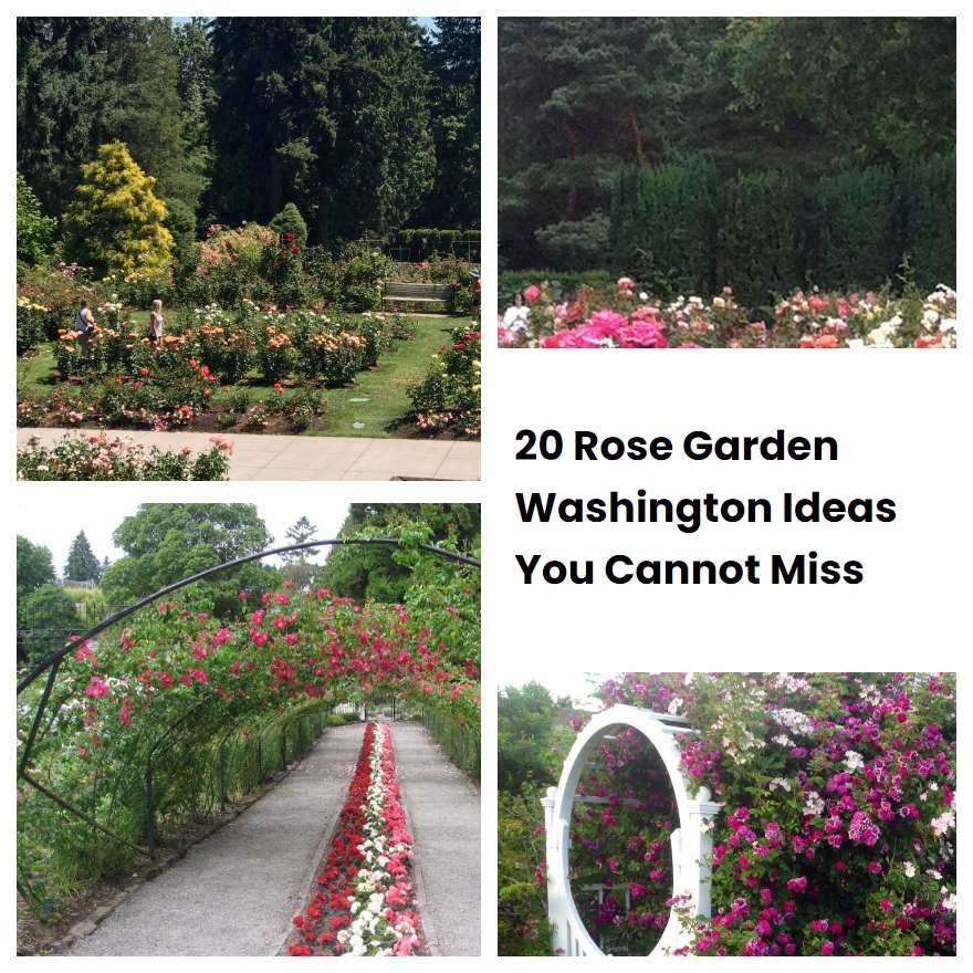 20 Rose Garden Washington Ideas You Cannot Miss | SharonSable