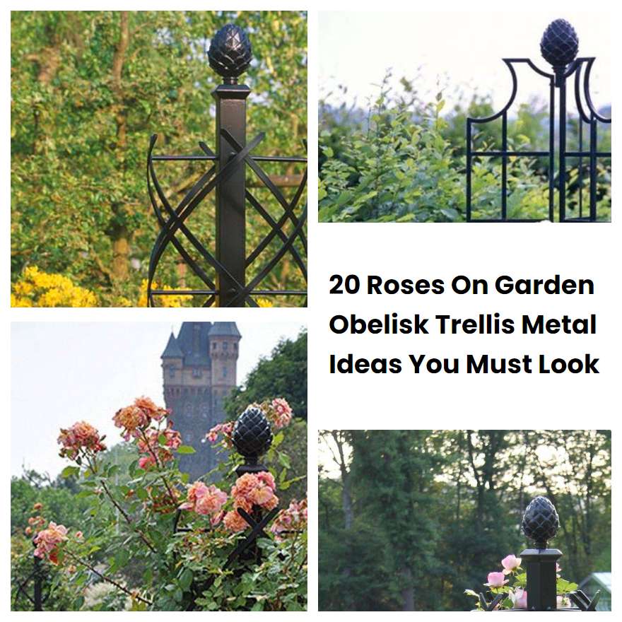 20 Roses On Garden Obelisk Trellis Metal Ideas You Must Look | SharonSable