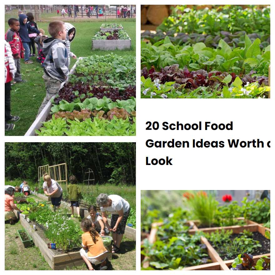 20 School Food Garden Ideas Worth a Look | SharonSable