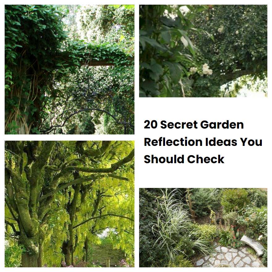 20 Secret Garden Reflection Ideas You Should Check | SharonSable