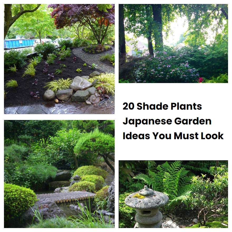 20 Shade Plants Japanese Garden Ideas You Must Look | SharonSable