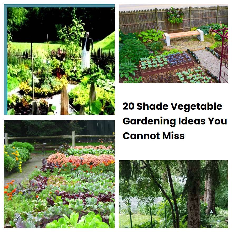 20 Shade Vegetable Gardening Ideas You Cannot Miss | SharonSable