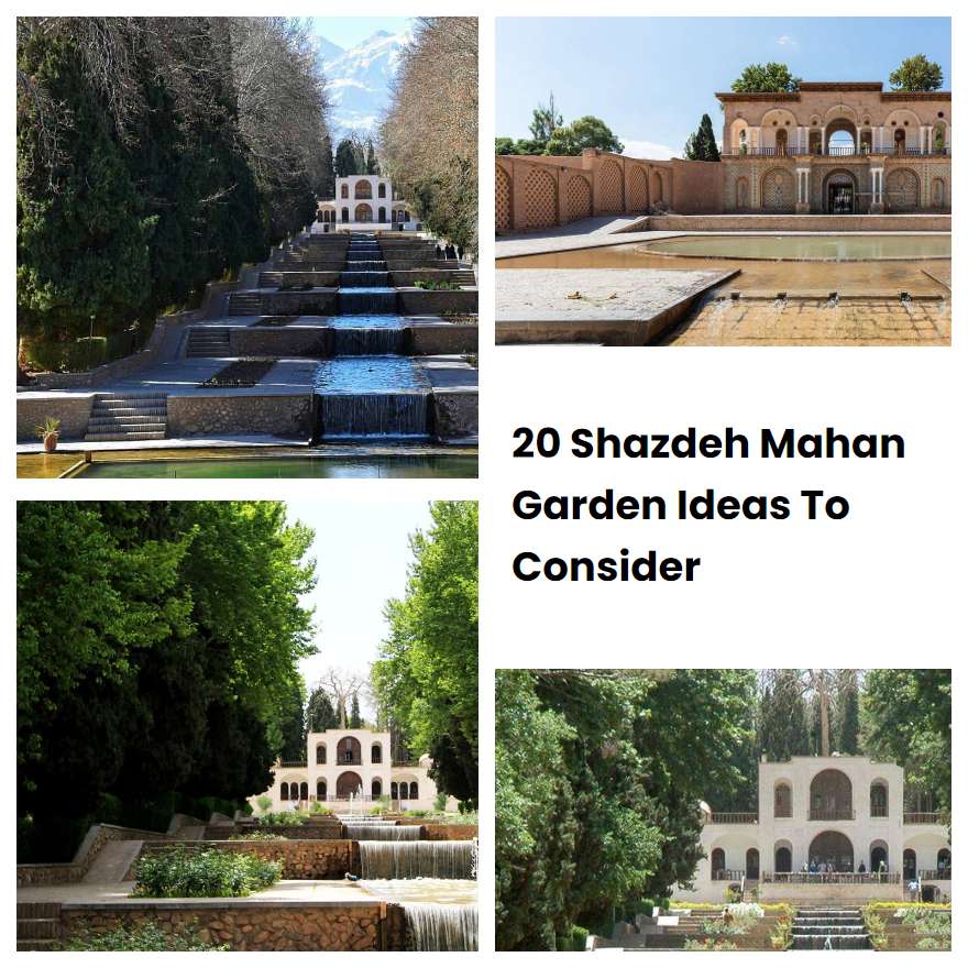 20 Shazdeh Mahan Garden Ideas To Consider | SharonSable