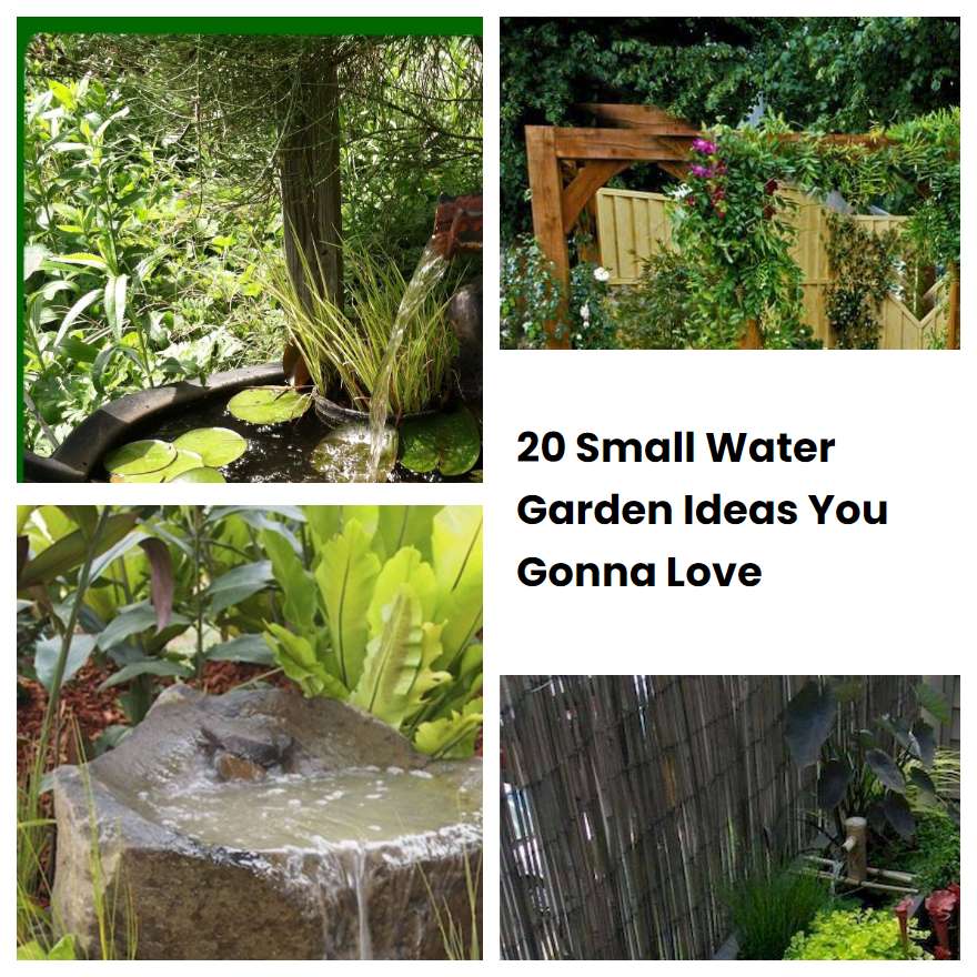 20 Small Water Garden Ideas You Gonna Love | SharonSable