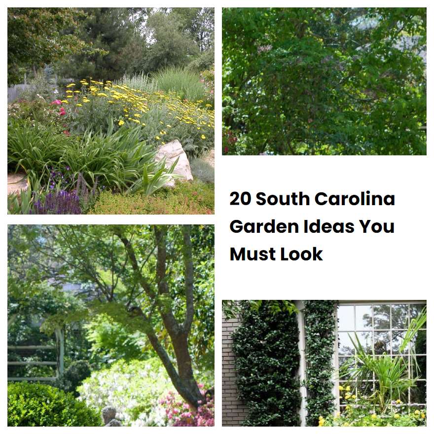 20 South Carolina Garden Ideas You Must Look | SharonSable