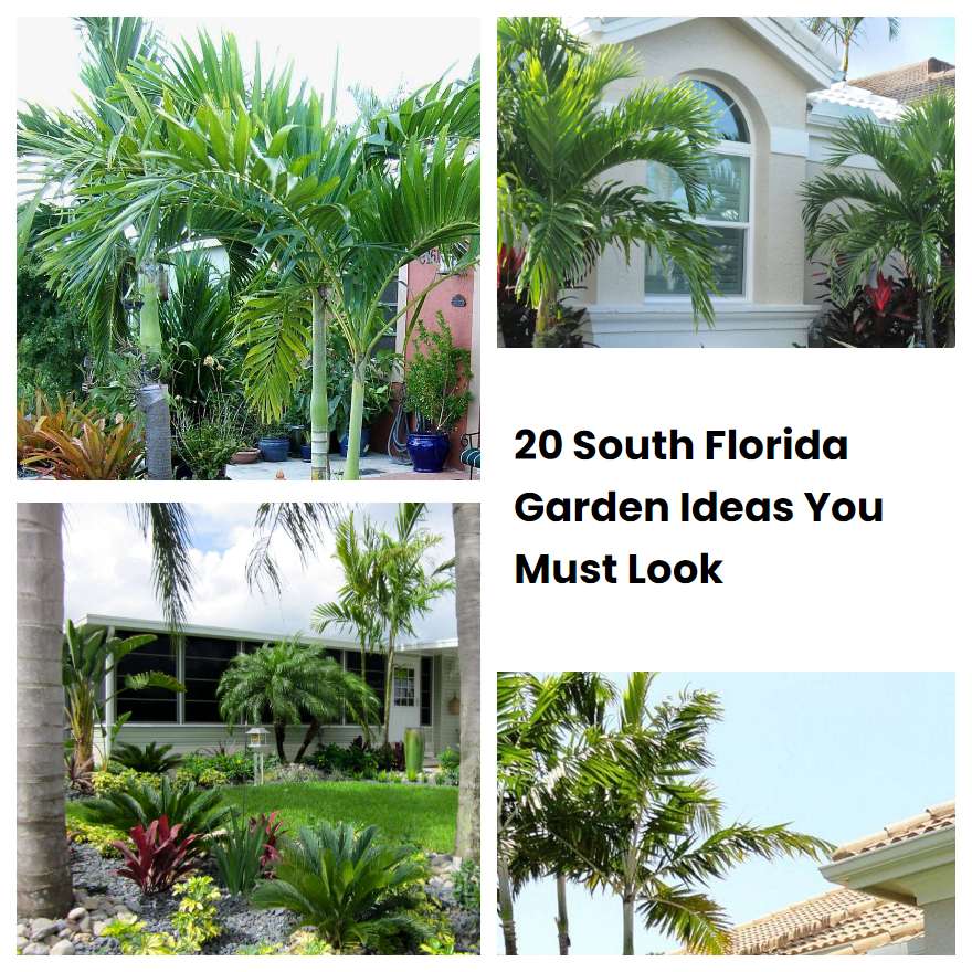 20 South Florida Garden Ideas You Must Look | SharonSable