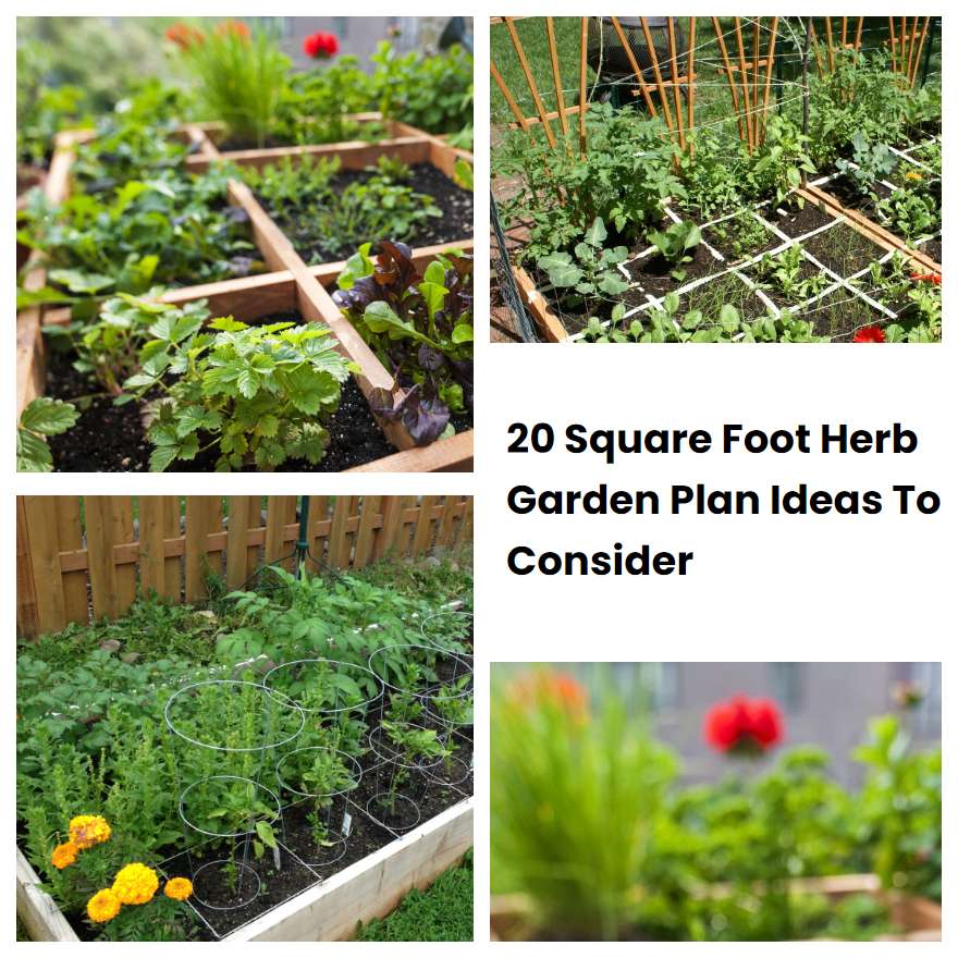 20 Square Foot Herb Garden Plan Ideas To Consider | SharonSable
