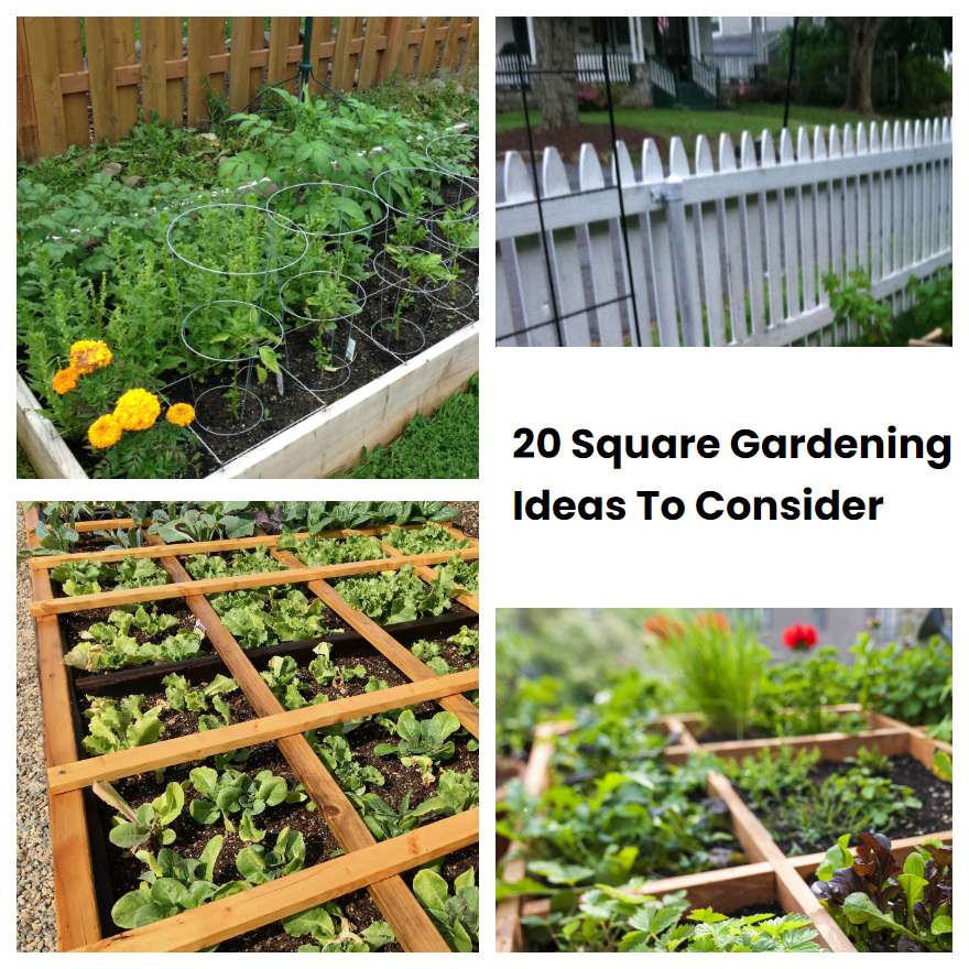 20 Square Gardening Ideas To Consider | SharonSable
