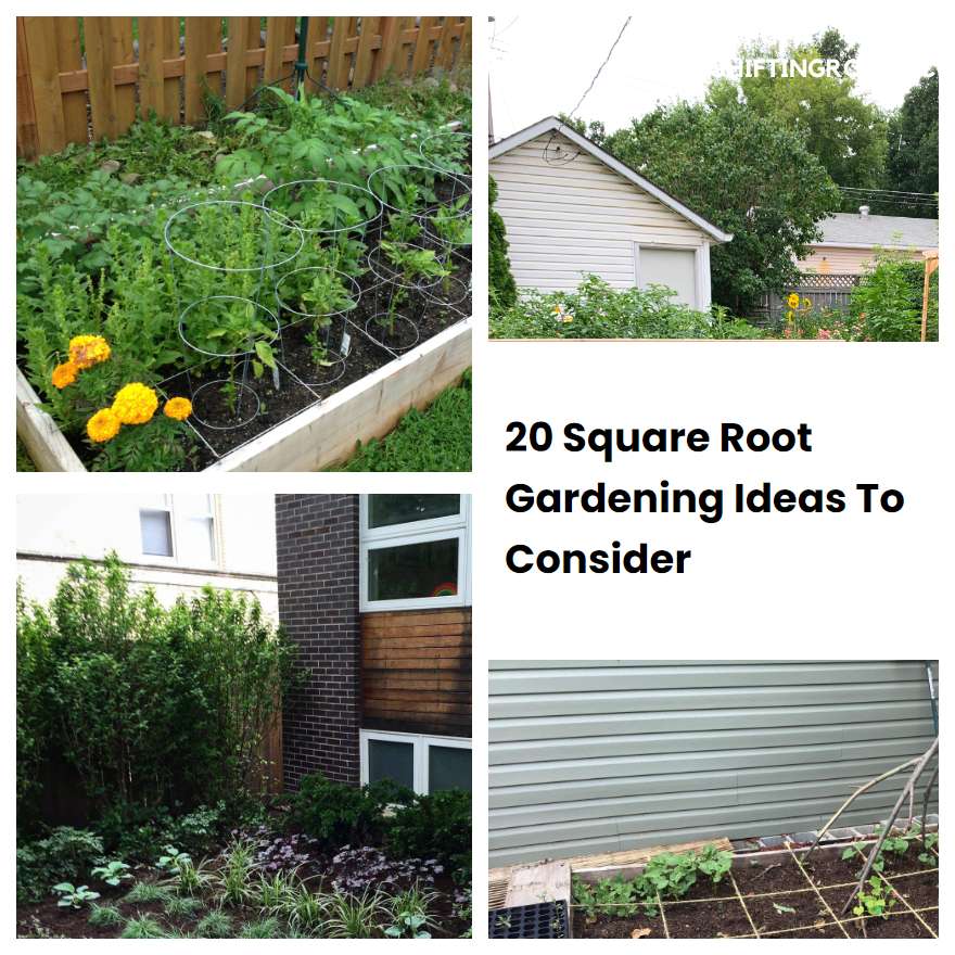 20 Square Root Gardening Ideas To Consider | SharonSable