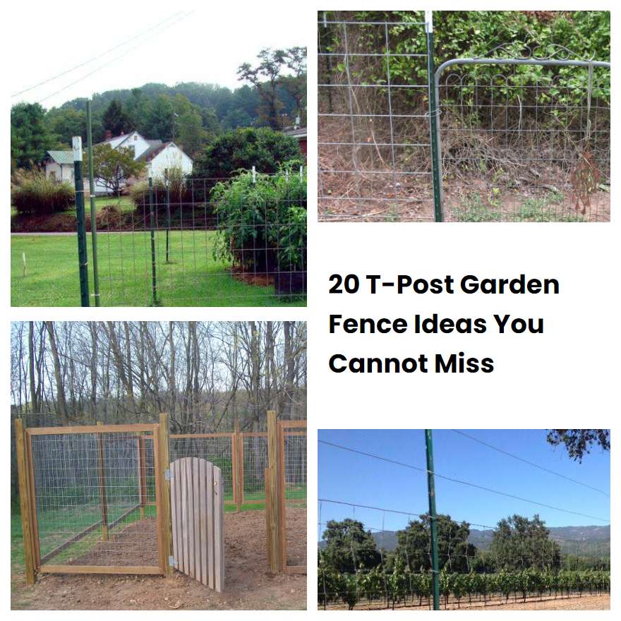 20 T-Post Garden Fence Ideas You Cannot Miss | SharonSable