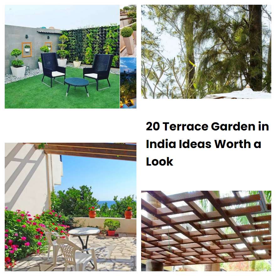 20 Terrace Garden in India Ideas Worth a Look | SharonSable