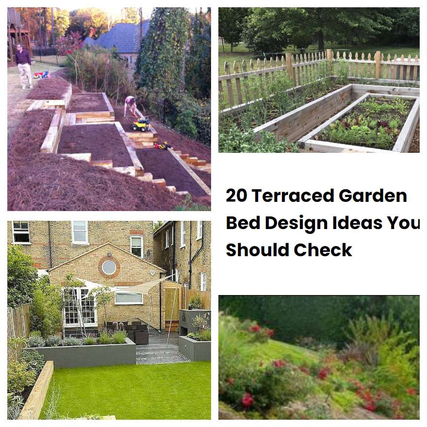 20 Terraced Garden Bed Design Ideas You Should Check | SharonSable