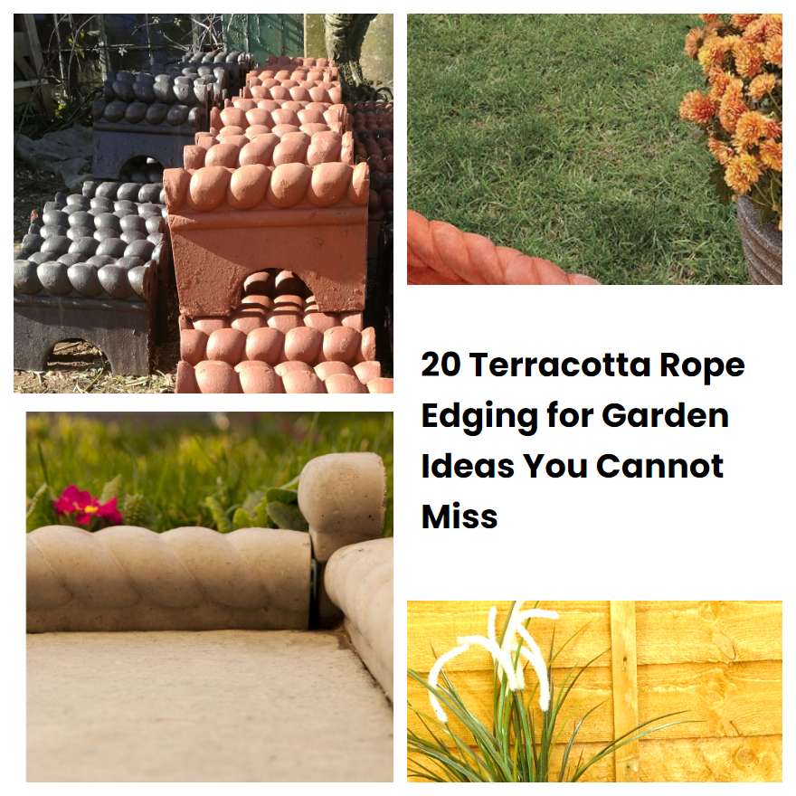 20 Terracotta Rope Edging for Garden Ideas You Cannot Miss | SharonSable