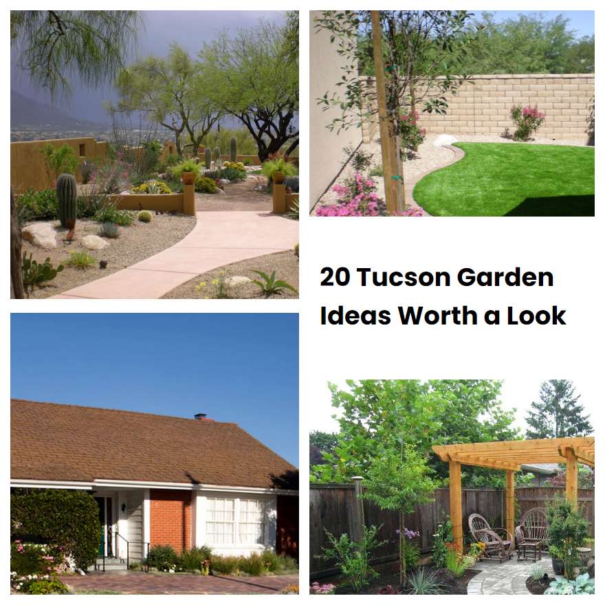 20 Tucson Garden Ideas Worth a Look | SharonSable