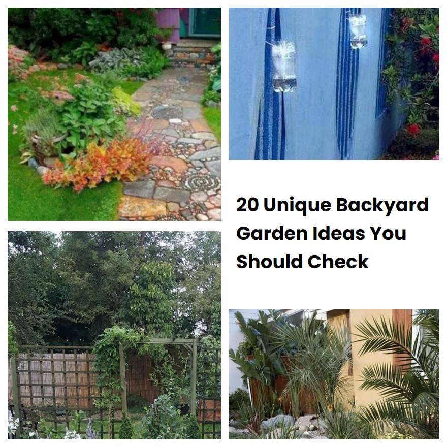 20 Unique Backyard Garden Ideas You Should Check | SharonSable