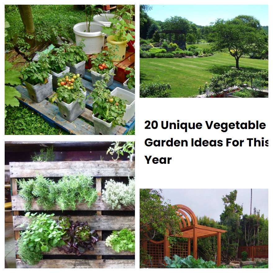 20 Unique Vegetable Garden Ideas For This Year | SharonSable