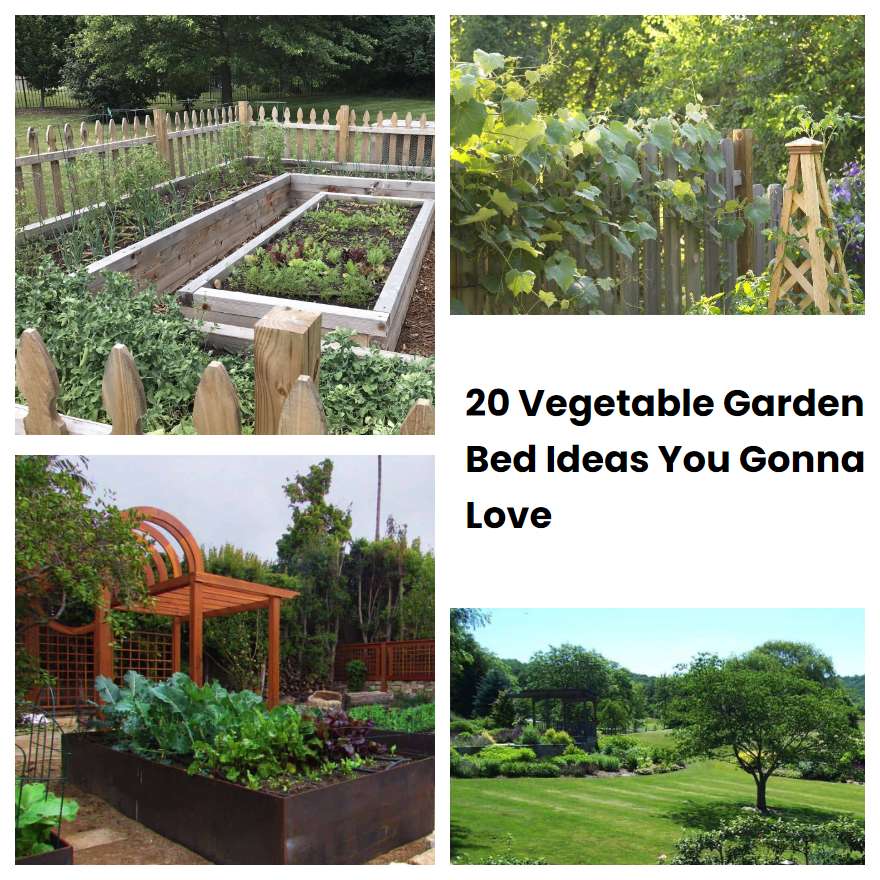 20 Vegetable Garden Bed Ideas You Gonna Love | SharonSable