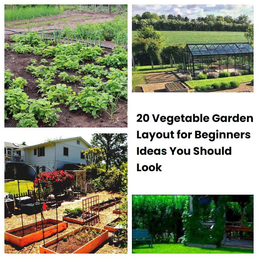 20 Vegetable Garden Layout for Beginners Ideas You Should Look ...