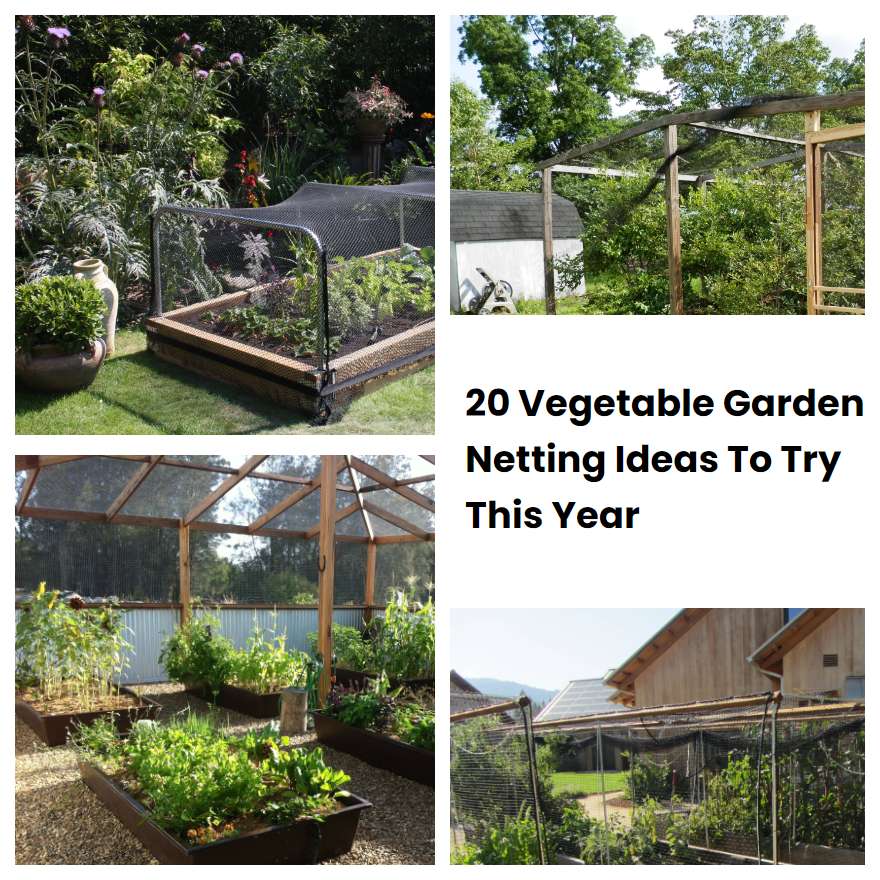 20 Vegetable Garden Netting Ideas To Try This Year Sharonsable