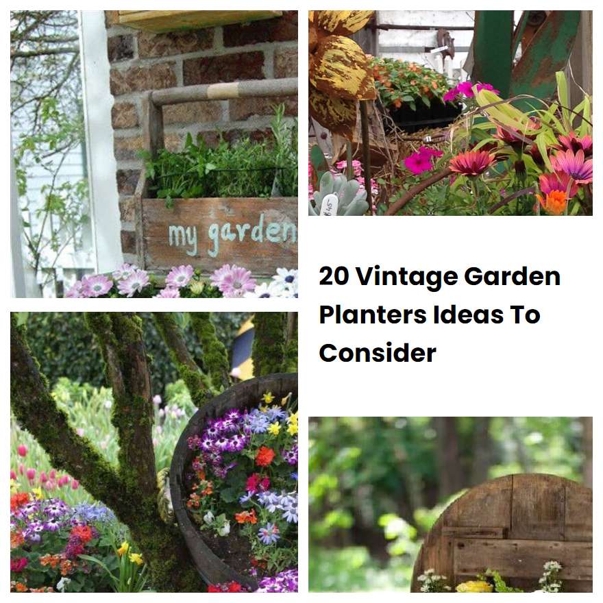 20 Vintage Garden Planters Ideas To Consider | SharonSable