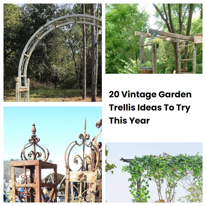 20 Vintage Garden Trellis Ideas To Try This Year | SharonSable