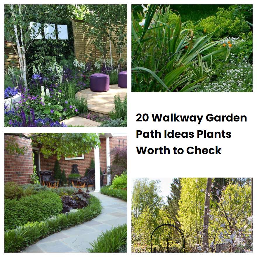 20 Walkway Garden Path Ideas Plants Worth to Check | SharonSable
