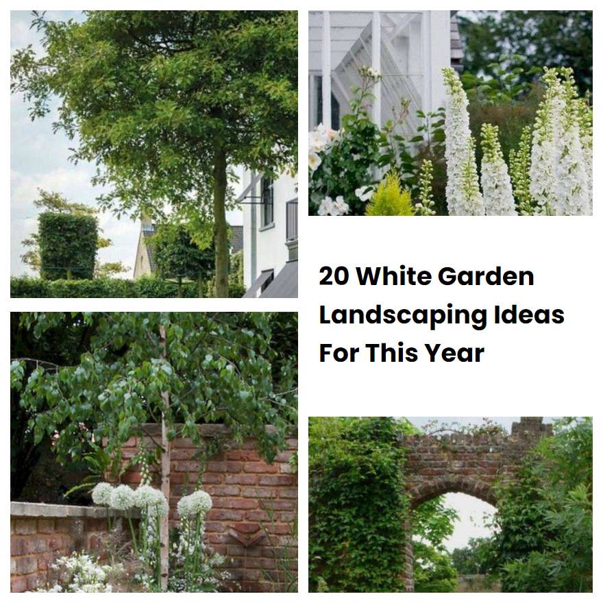 20 White Garden Landscaping Ideas For This Year | SharonSable