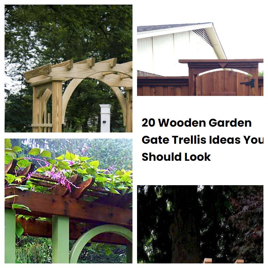 20 Wooden Garden Gate Trellis Ideas You Should Look | SharonSable