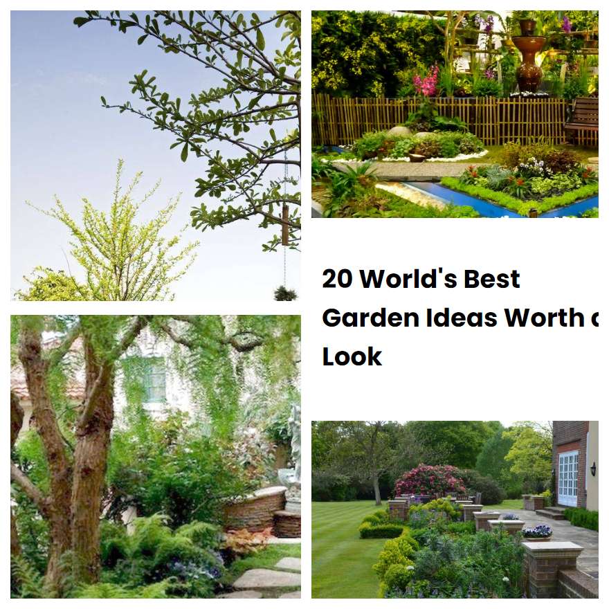 20 Worlds Best Garden Ideas Worth a Look | SharonSable
