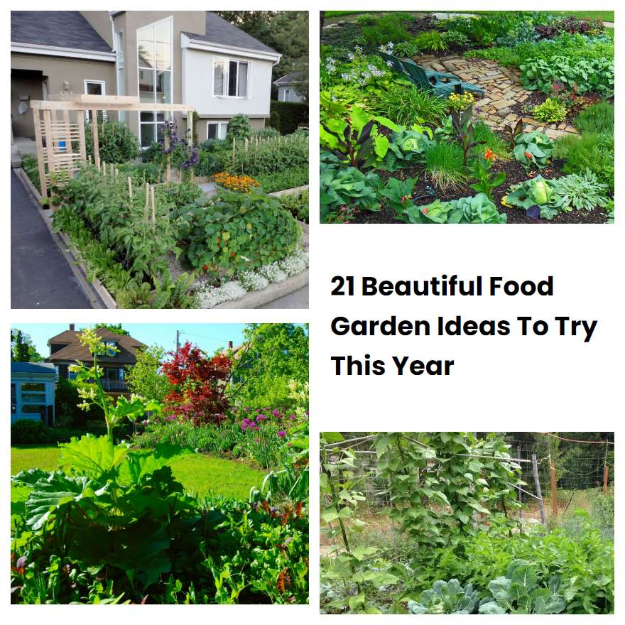 21 Beautiful Food Garden Ideas To Try This Year Sharonsable