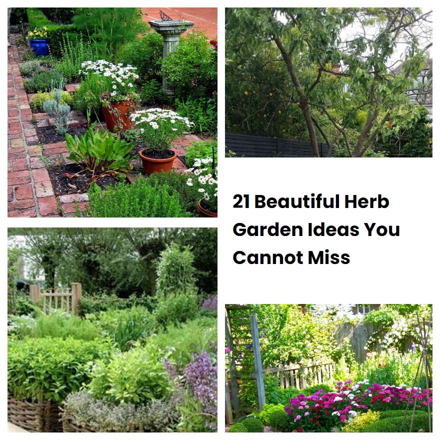 21 Beautiful Herb Garden Ideas You Cannot Miss | SharonSable