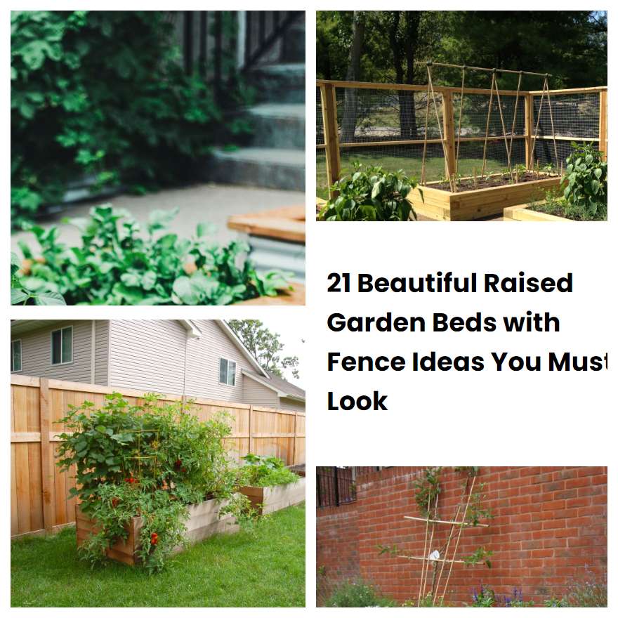 21 Beautiful Raised Garden Beds with Fence Ideas You Must Look | SharonSable