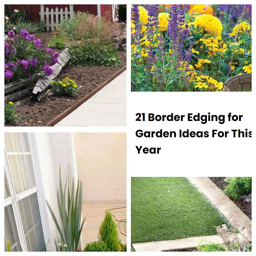 21 Border Edging for Garden Ideas For This Year | SharonSable