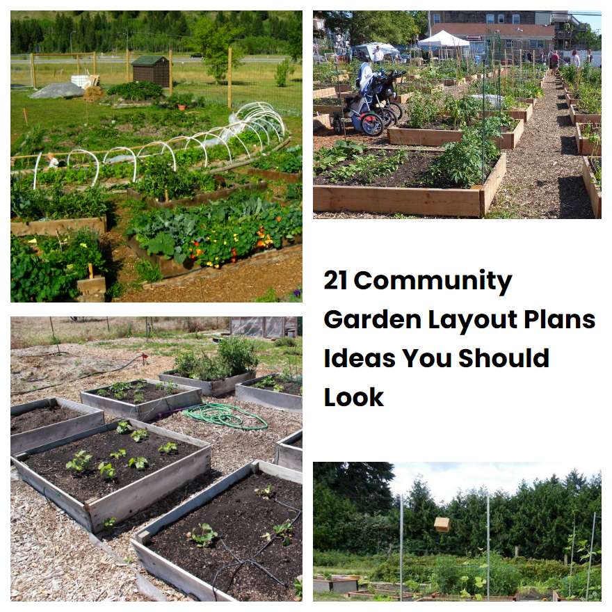 21 Community Garden Layout Plans Ideas You Should Look | SharonSable