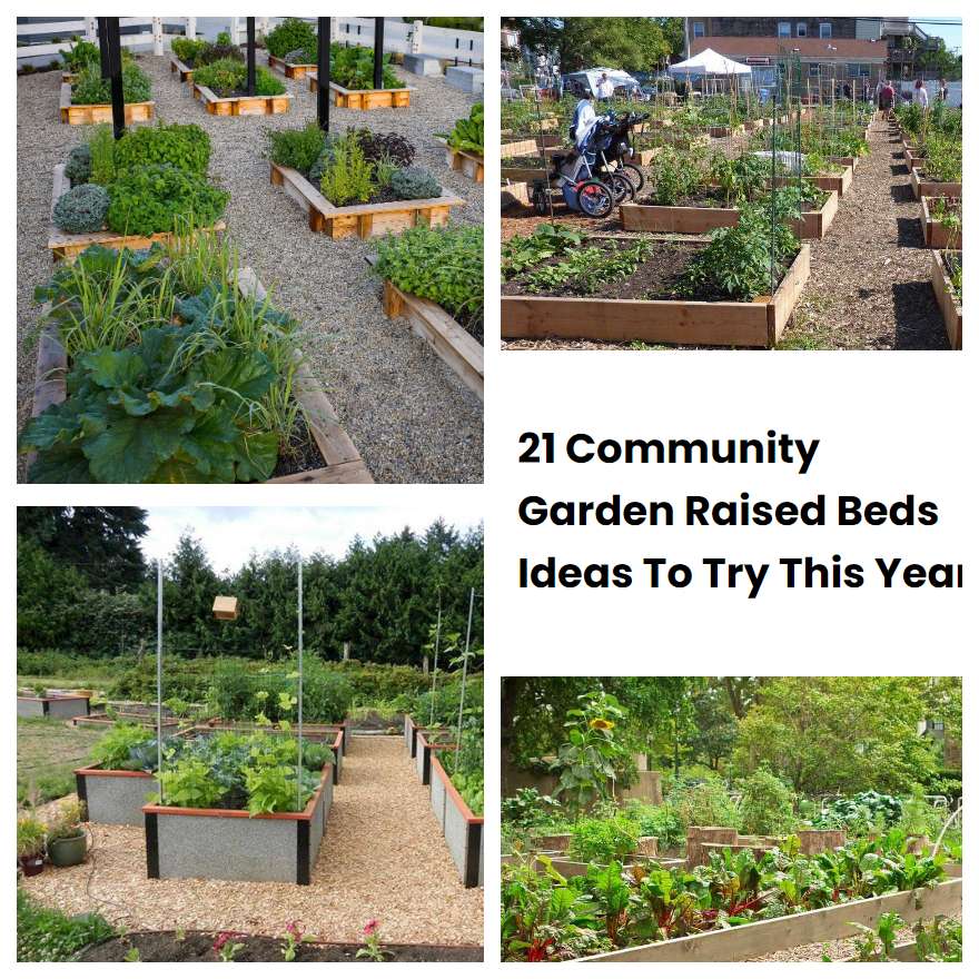 21 Community Garden Raised Beds Ideas To Try This Year | SharonSable