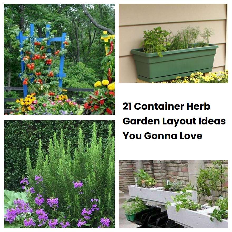 21 Container Herb Garden Layout Ideas You Gonna Love | SharonSable