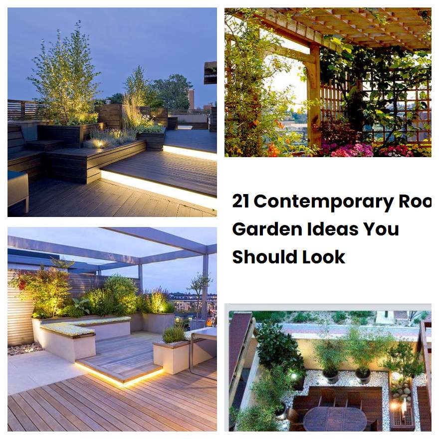 21 Contemporary Roof Garden Ideas You Should Look | SharonSable