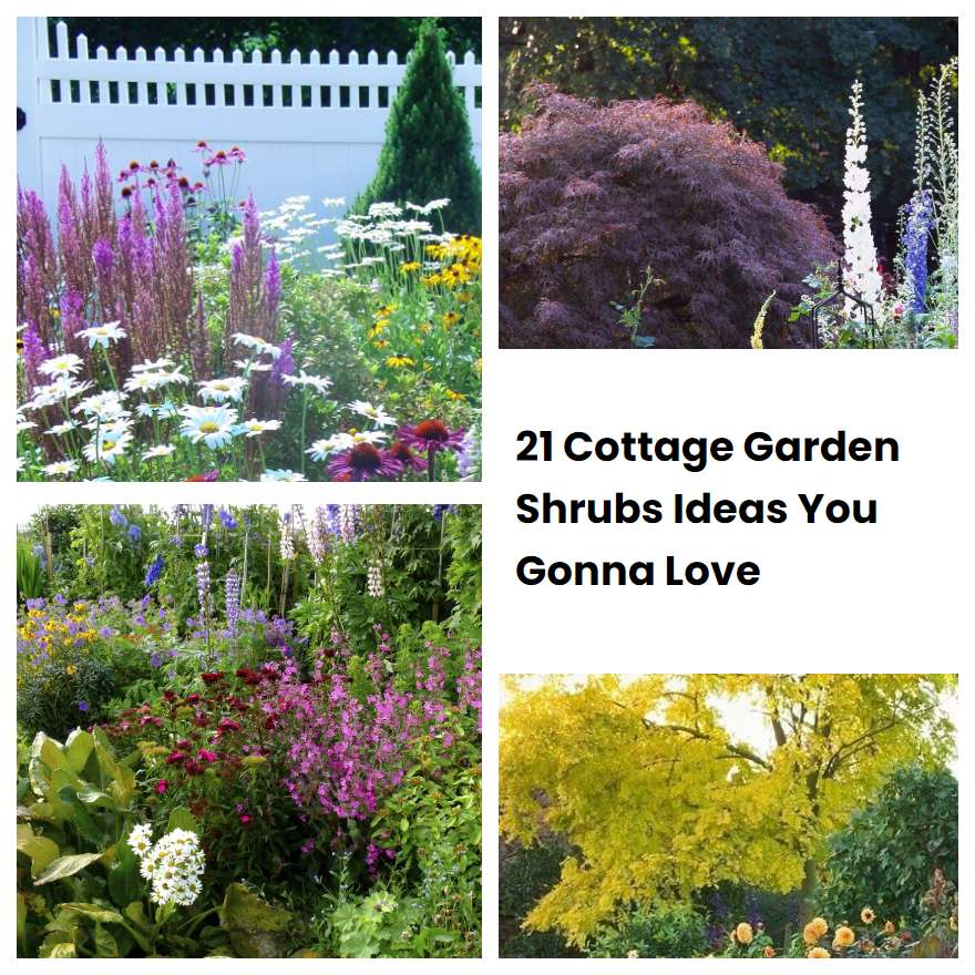 21 Cottage Garden Shrubs Ideas You Gonna Love | SharonSable