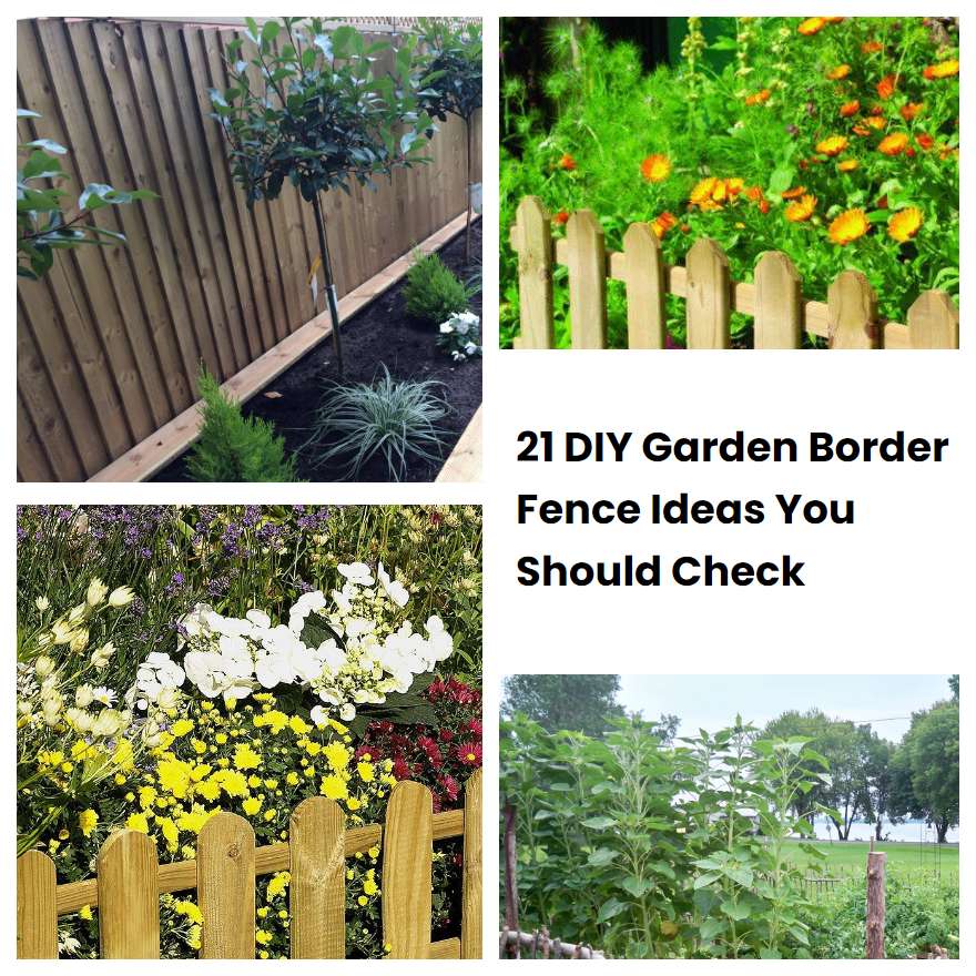 21 DIY Garden Border Fence Ideas You Should Check | SharonSable