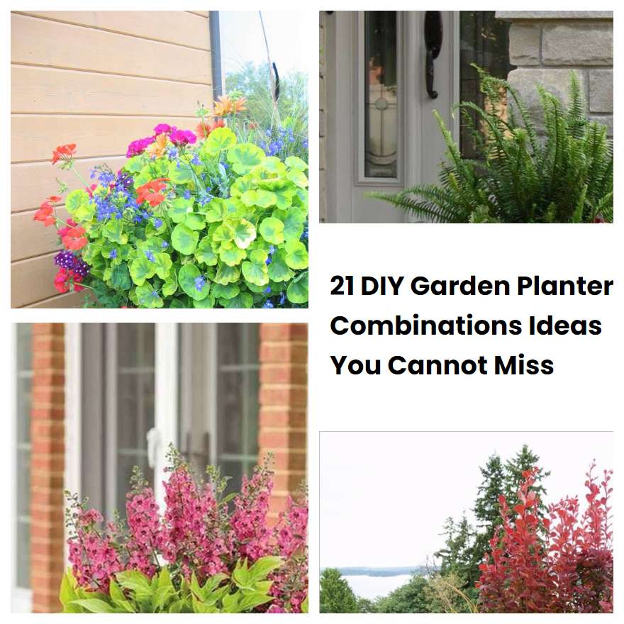 21 Diy Garden Planter Combinations Ideas You Cannot Miss Sharonsable